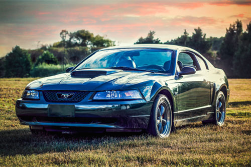 Special Model Mustangs - Mustang Museum of America